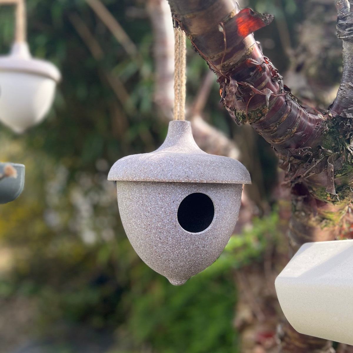 Earthy Hanging Acorn Bird House in Nut Husk