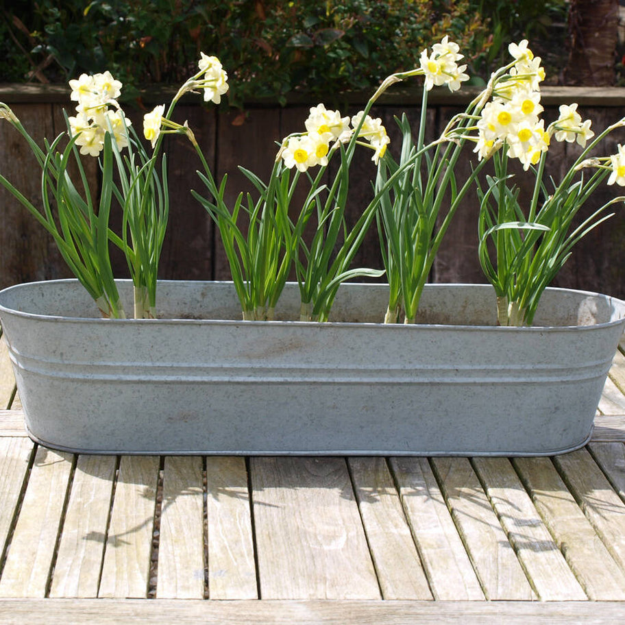 Plant pots and planters for the garden and indoor plant pots | 2