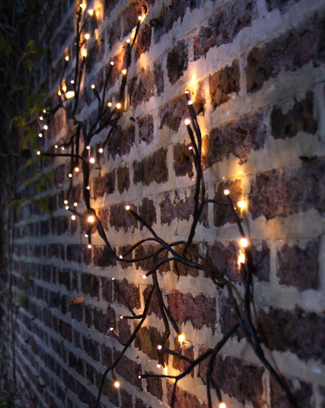 Ivy Branch Solar Light Chain